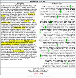 Type 3 ELS Codes: Divine Echoes : Behold The Stone